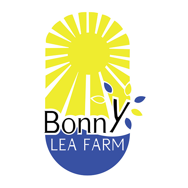 South Shore Community Service Association ( Bonny Lea Farm) – The Disability Partnership